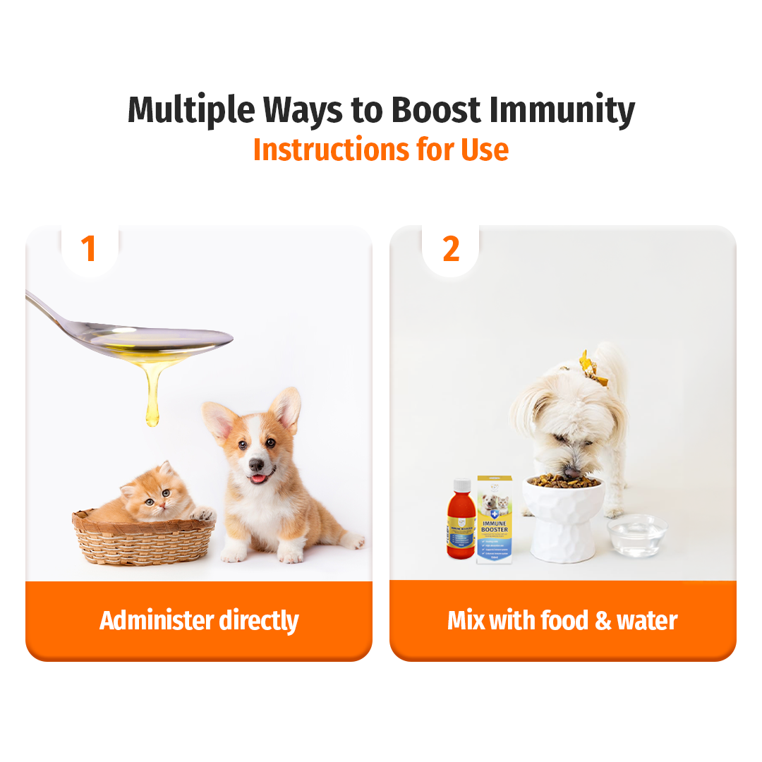 Cassiel Pet Immunol Vitamins Liquid For Antivirus Infection Immune ...