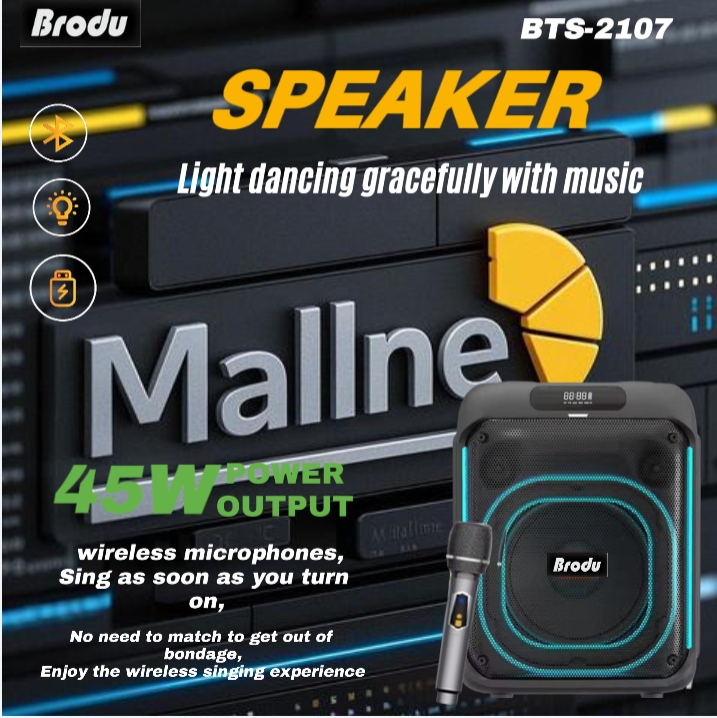 Brodu BTS-2287 IKARAOKE BOX Professional System Bluetooh Speaker With ...