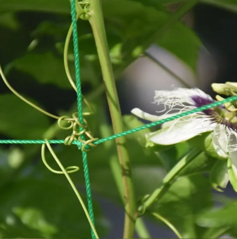 Plastic Green Net / Durable Garden Fence Mesh / Bird Netting /Protect ...