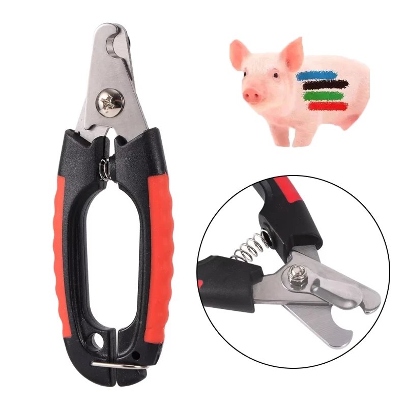 4/6 In1 Piglet tool Kit (Piglets teeth cutter + Pig Tail cutter ...