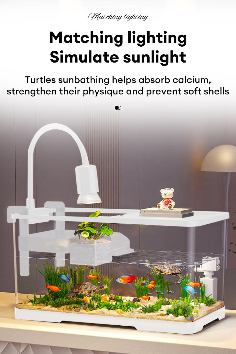 Mini Betta Fish Tank – Guppy Aquarium Turtle Tank Small Landscape ...