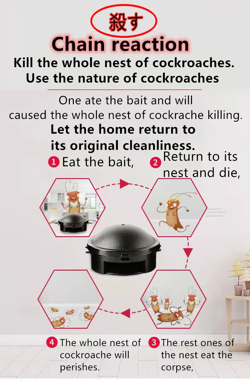 Japan 12Pcs Cockroach Bait No-toxicity Cockroach Killer Cockroach Traps ...