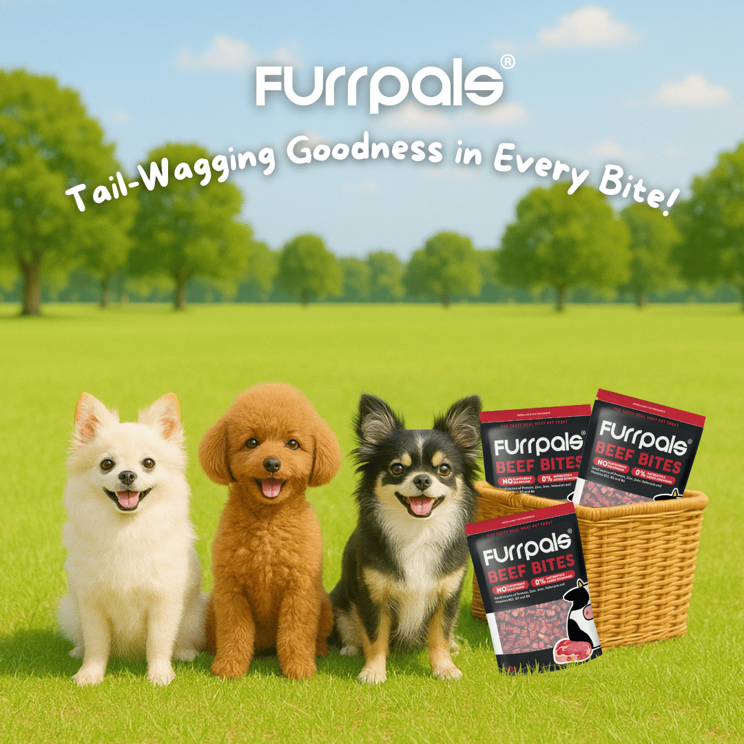 Furrpals Beef Bites Pet Snack Pet Treats Dog Treats Beef Cube Beef ...