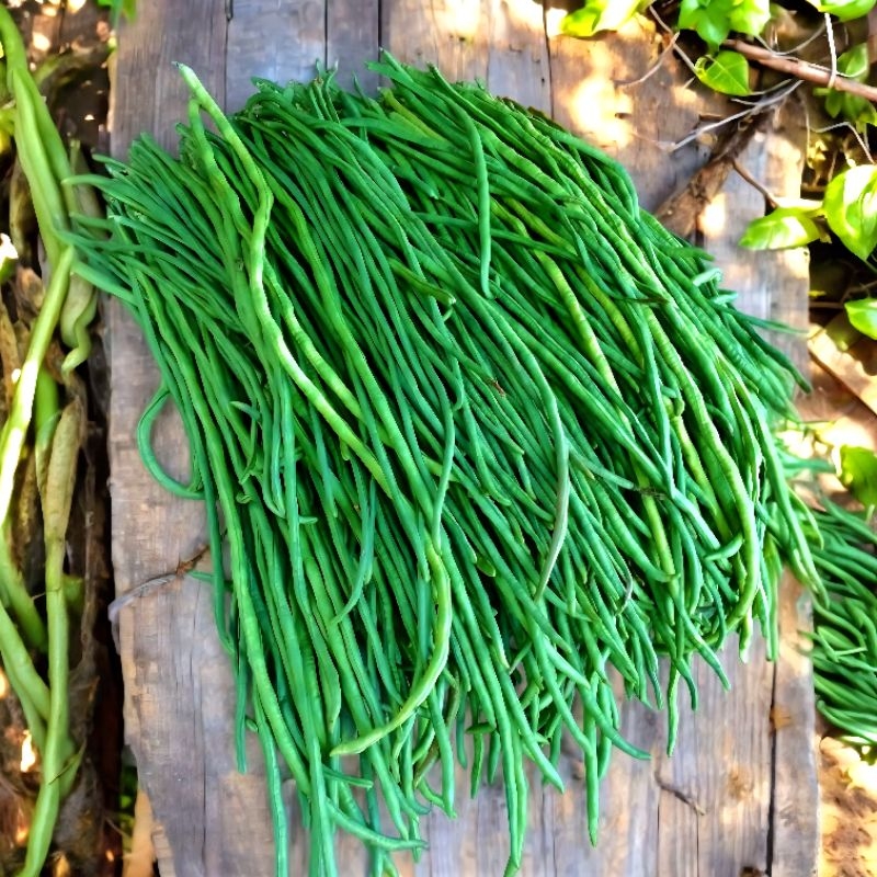 Pantastiko Sitaw / Yardlong Bean / Stringbean / 100 grams - East West ...