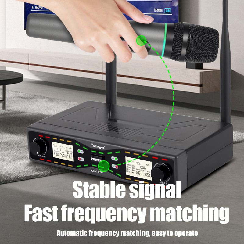 Professional UHF Wireless Microphone Karaoke Dual Mic Handheld Dynamic ...