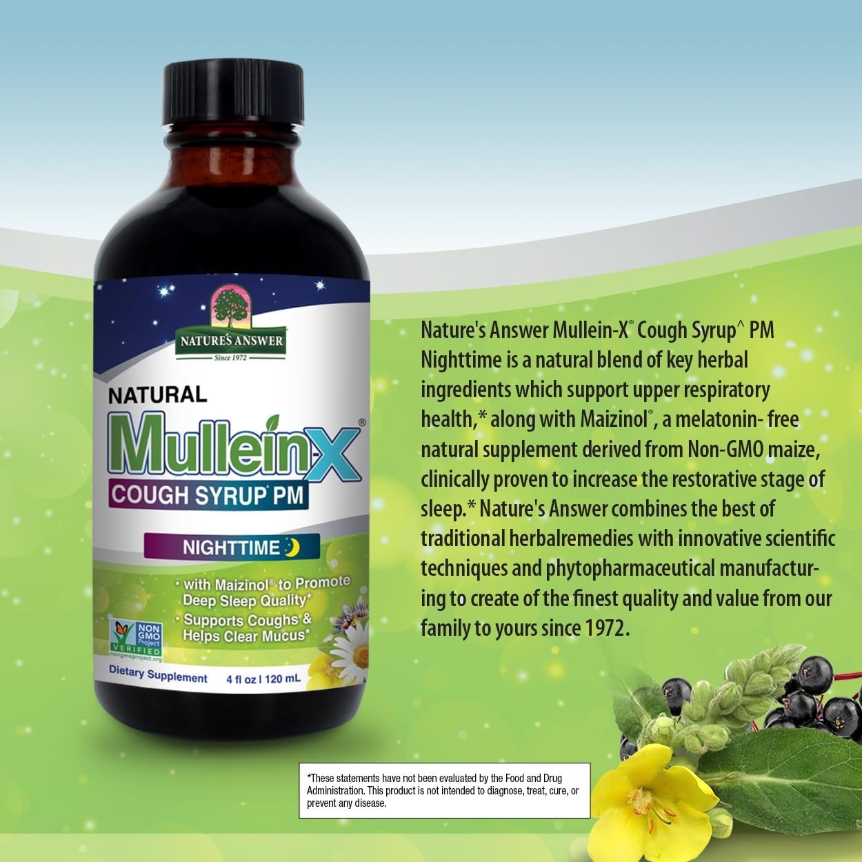 USA Onhand | Nature's Answer, Natural Mullein-X Cough Syrup PM ...