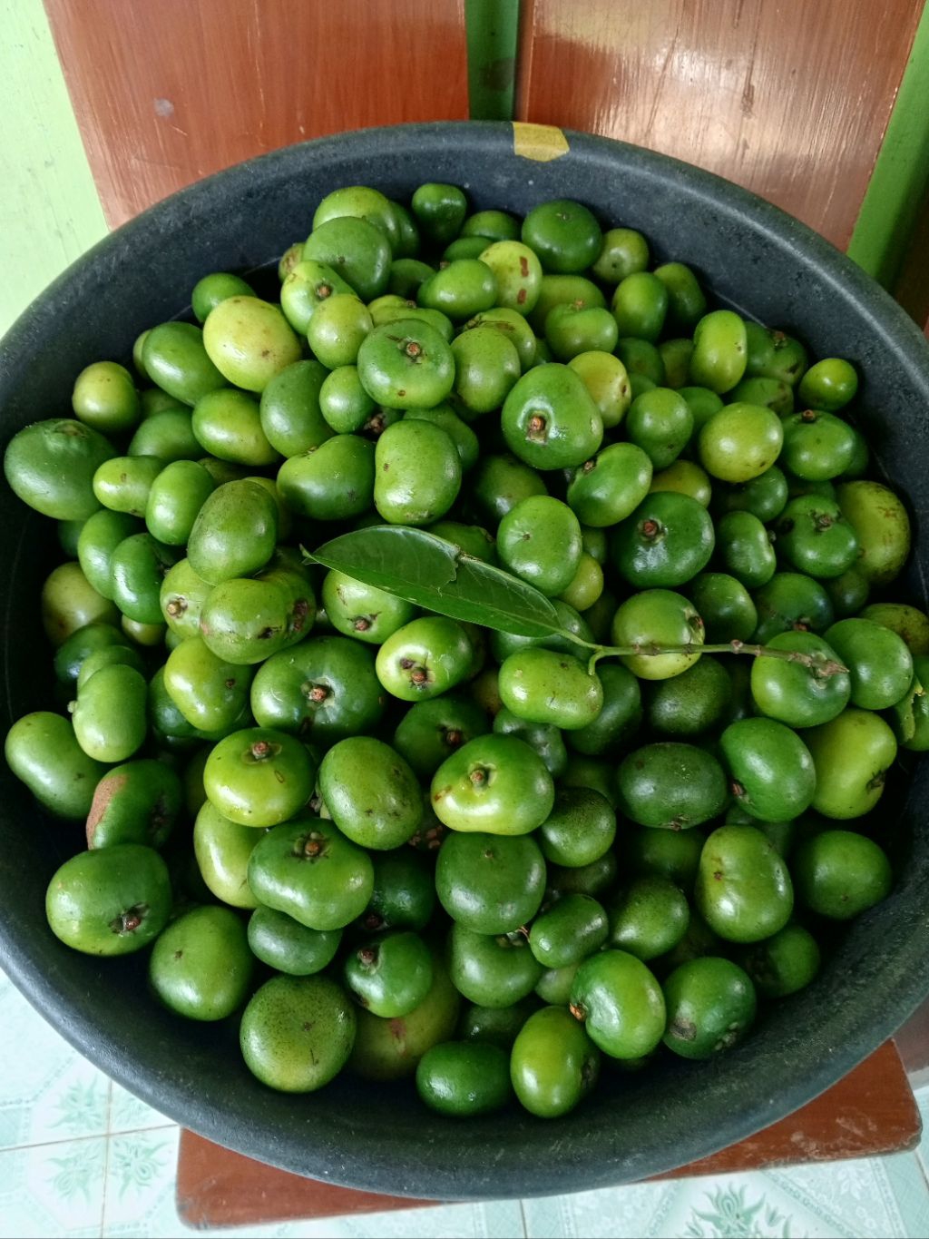 BATUAN OR BATWAN OR GARCINIA BINUCAO 1000GRAMS/ 1 KILO FREE 100GRAMS ...