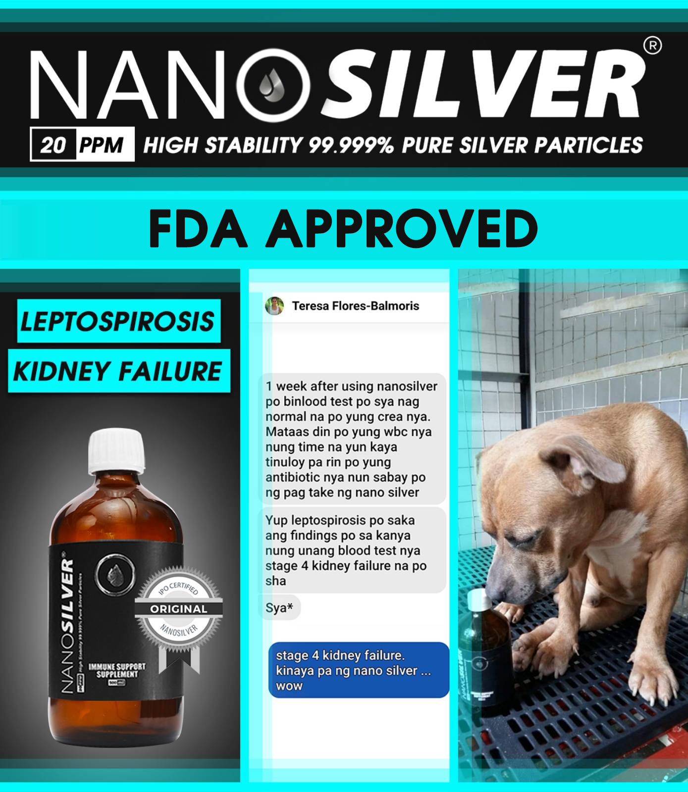 Nano Silver FDA APPROVED FDA LTO 3000013745113, Original 250ml with US FDA FFR reg | Shopee ...