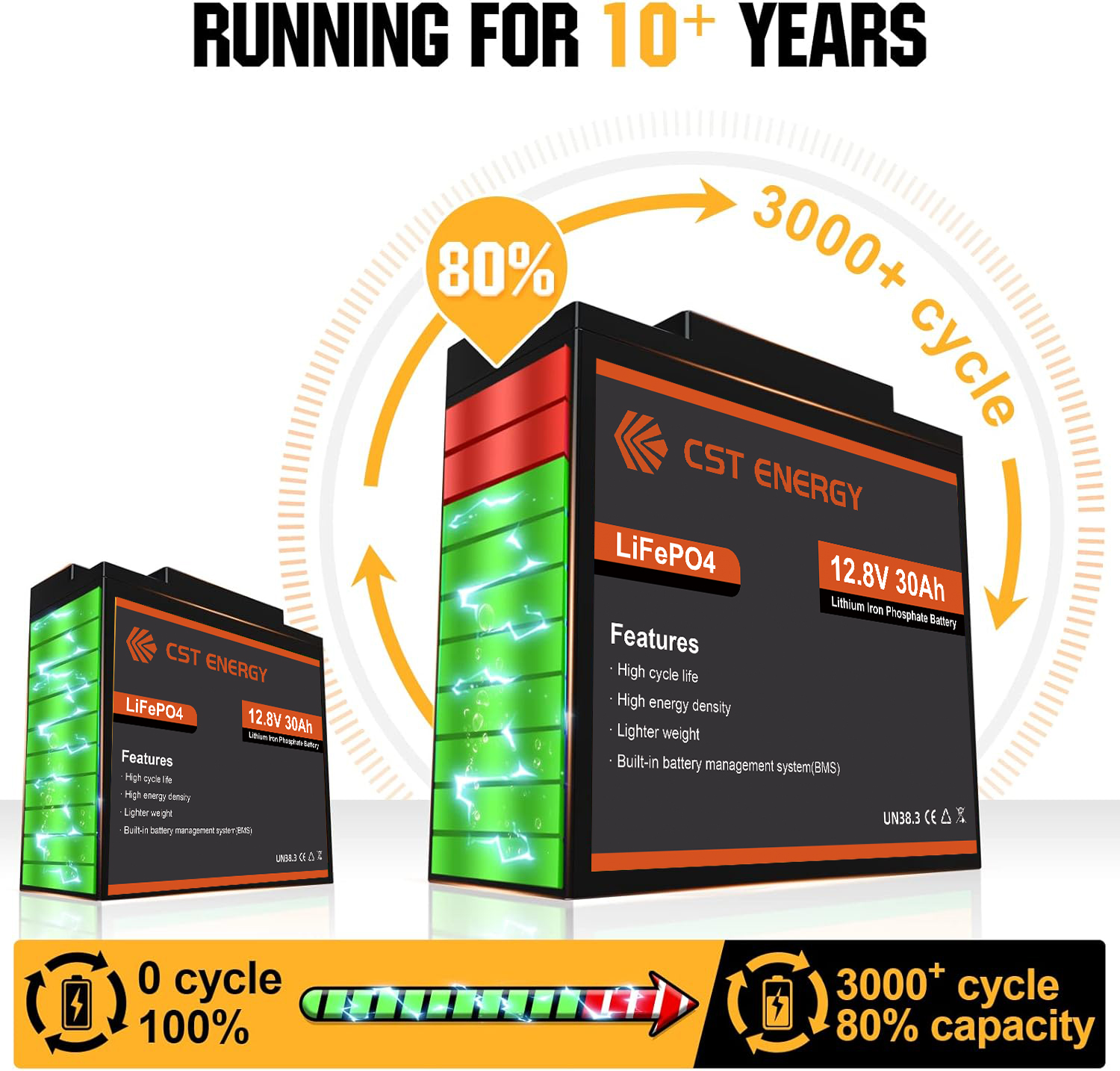 CST ENERGY LiFePo4 Battery 12V30AH LiFePo4 Battery 12V100AH with ...