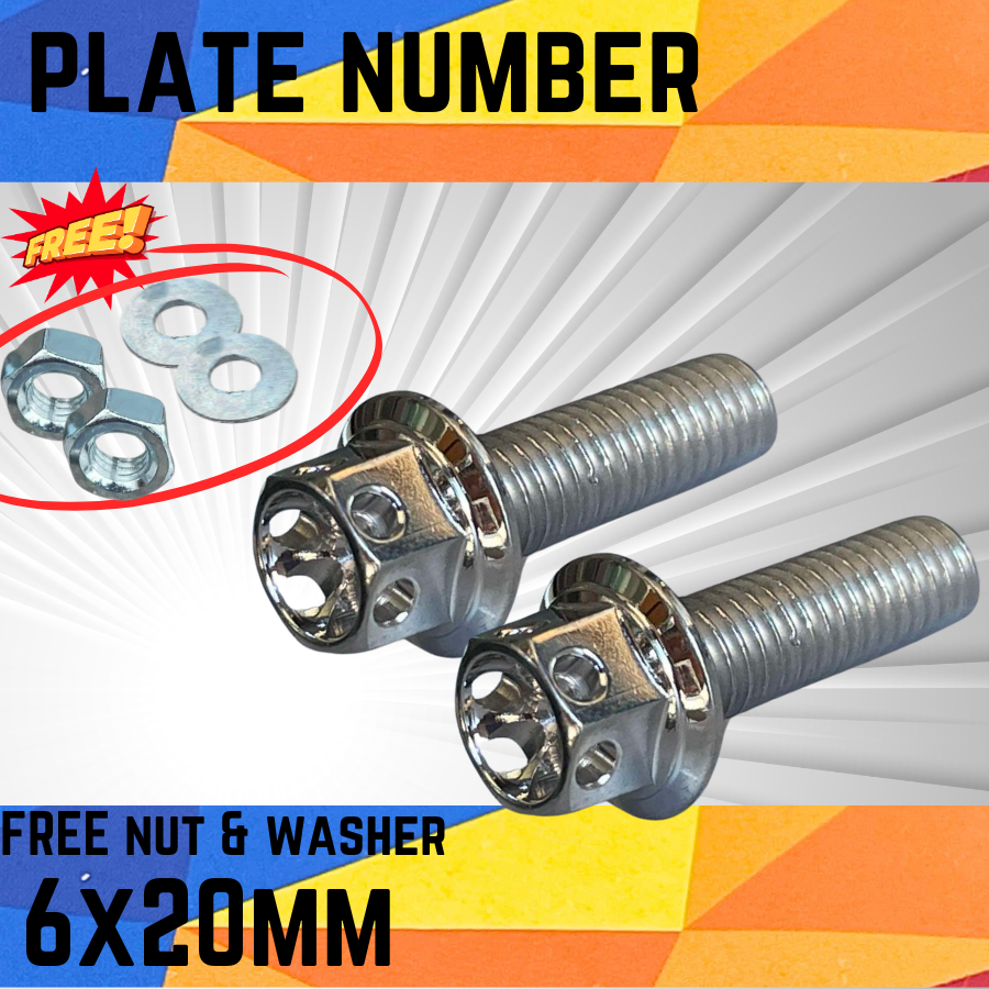 (2pcs) Heng 6x20mm Plate Number Bolts free Washer & Nut / Turnilyo ng ...