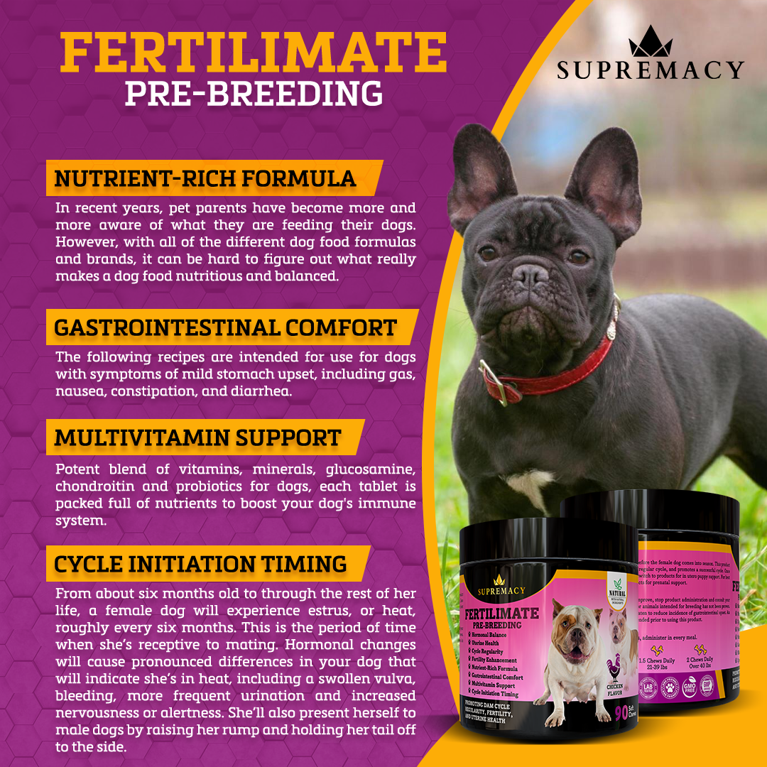 Supremacy Premium Treats & Supplements for Pre-breeding Dam Dogs ...