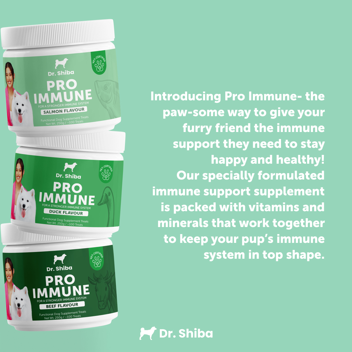 Dr Shiba Pro Immune 2 X Healthy Dog Treats, Dog Multivitamins: Dog Food ...