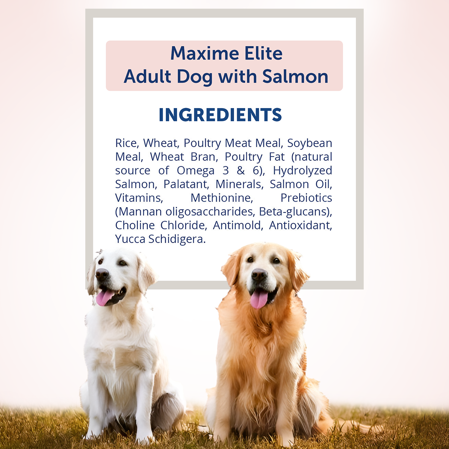 [SENSITIVE DOGS] Maxime Elite Adult Dog with Salmon 10kg | Shopee ...