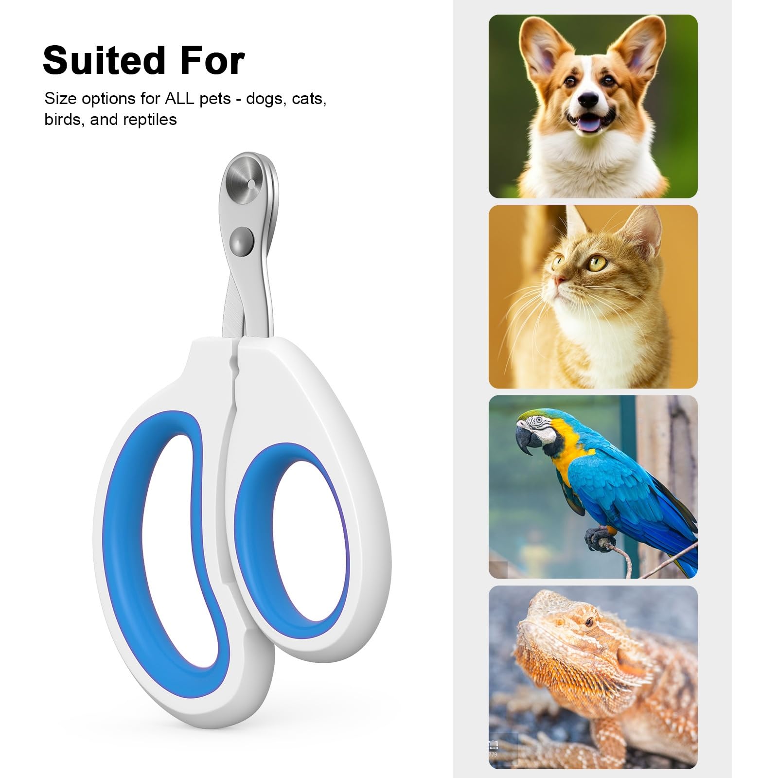Cat Nail Clippers with Circular Cut Hole Avoid Over Cutting Pet Nail ...