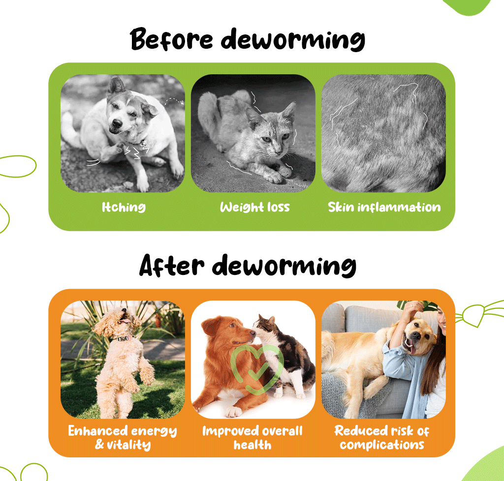 Petsup Pet Albendazole Deworming Tablet Nematocide Worm Rid Heartworm ...