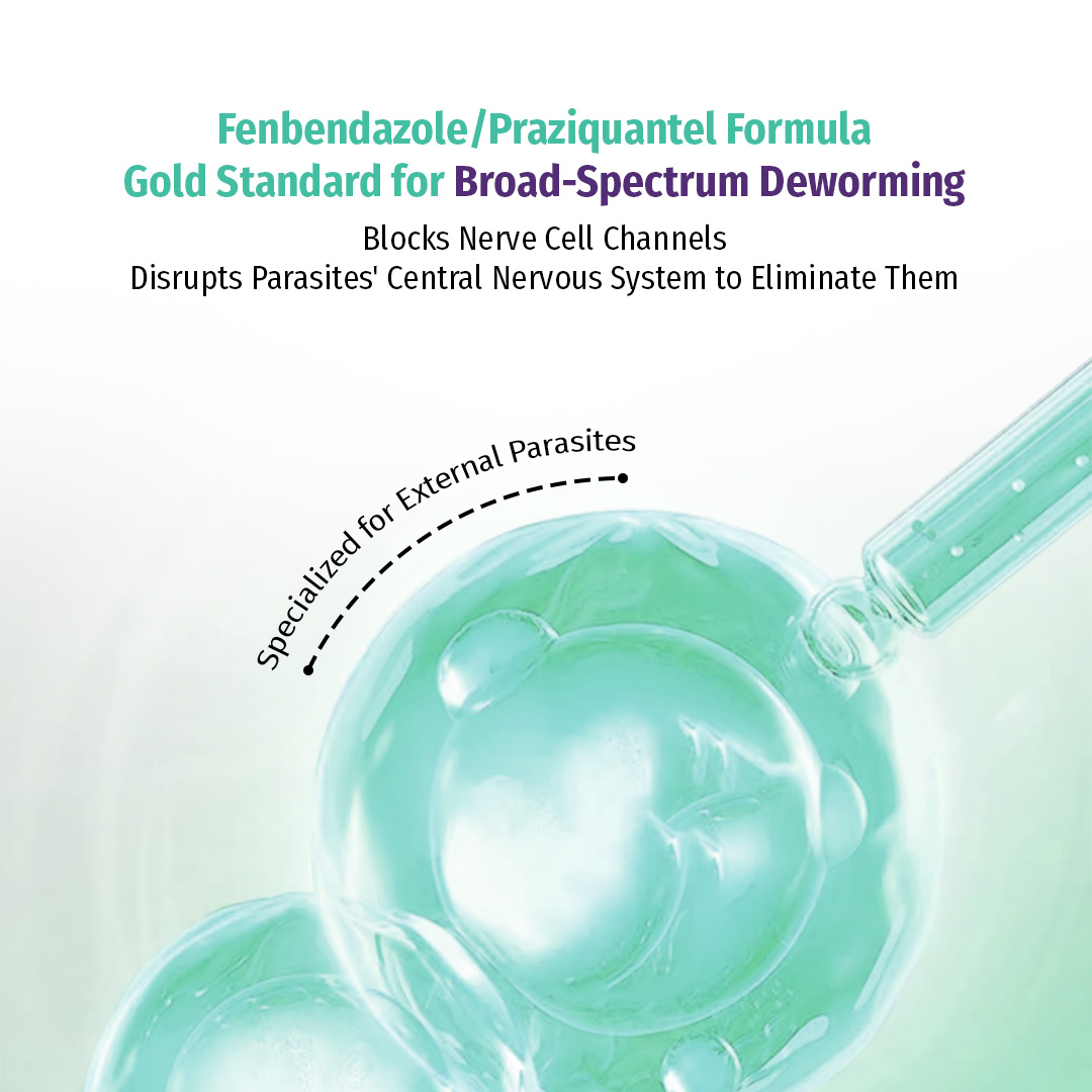 Buy 3 Free 1 Deworming Tablet For Nematocide Deworm Worm Rid Heartworm ...