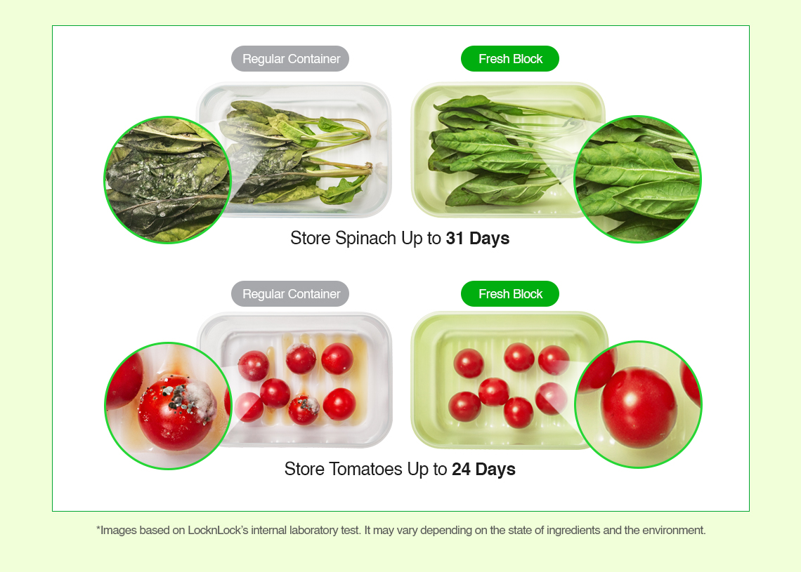 LocknLock Set of 2 Fresh Block 760ml | Food Keeper for Fruits ...