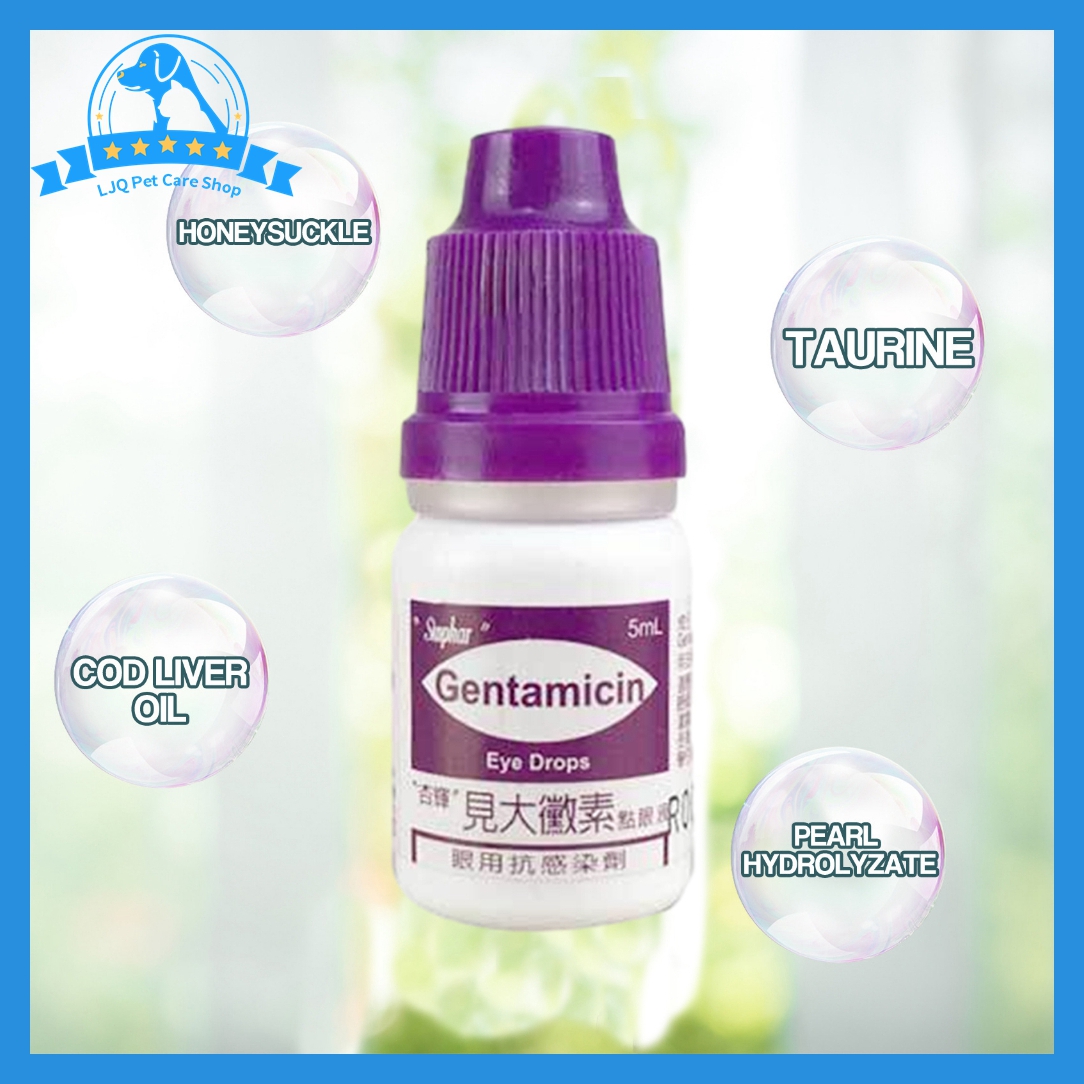 【Buy 1 take 1】Gentamicin Eye Drops for Pet Cat Dogs Eye Infection ...