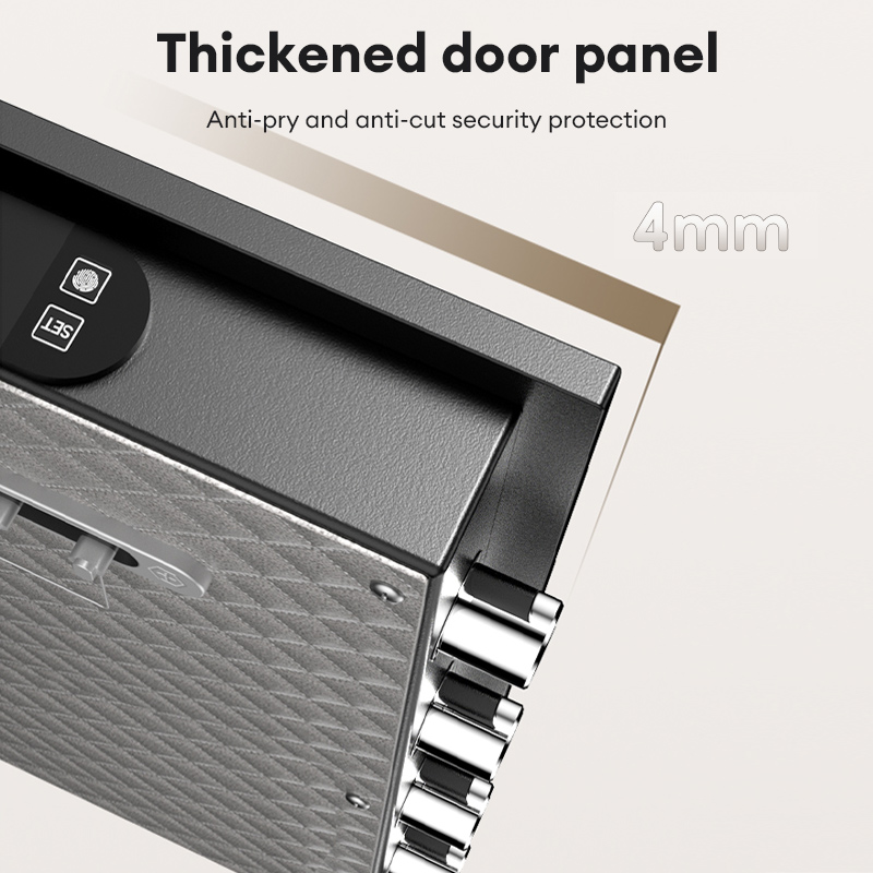 Deli Electronic Digital Safety Vault Key Password Fingerprint Safe ...