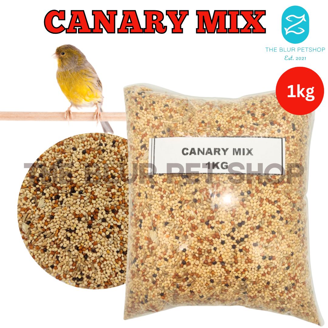 Canary Mix Bird Food Seeds All Stages Bird Food The Blur Pet Shop ...