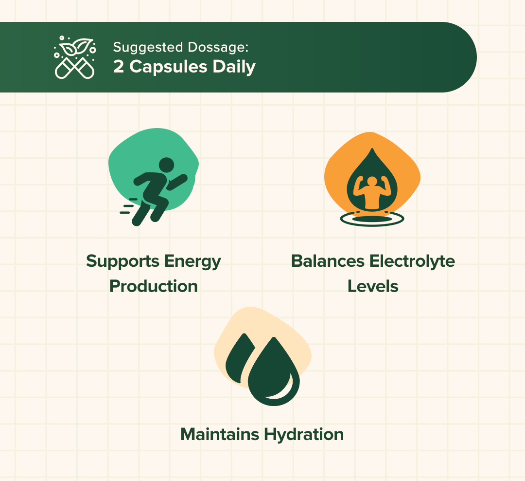 HEYDAY Essentials Electrolyte Complex – 120 Caps of Premium Chloride ...