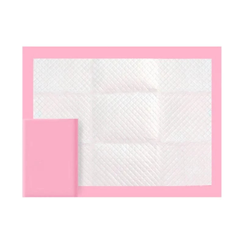 BUY 10 Ship 40 Pet Pee Pad Dog Pee Training Pad Cat Pee Pad Pet Wee Pee ...