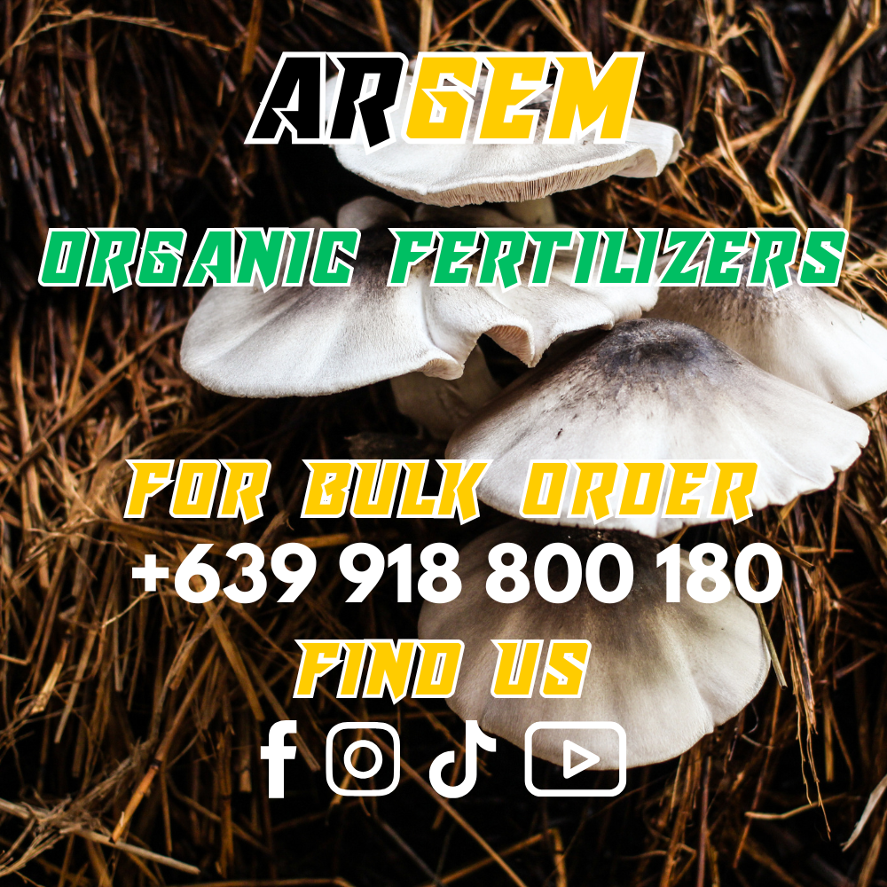 ARGEM Dayami ng Palay for Mushroom Production, Rice Straw, Organic ...