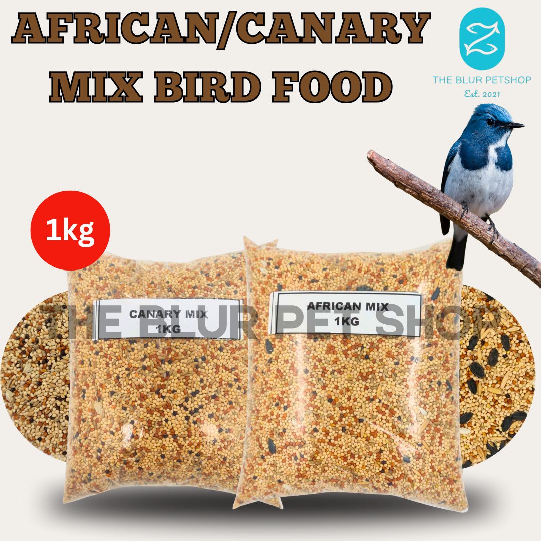 1kg African Mix Canary Mix All Stages Bird Food Nutritional Seeds Pet ...