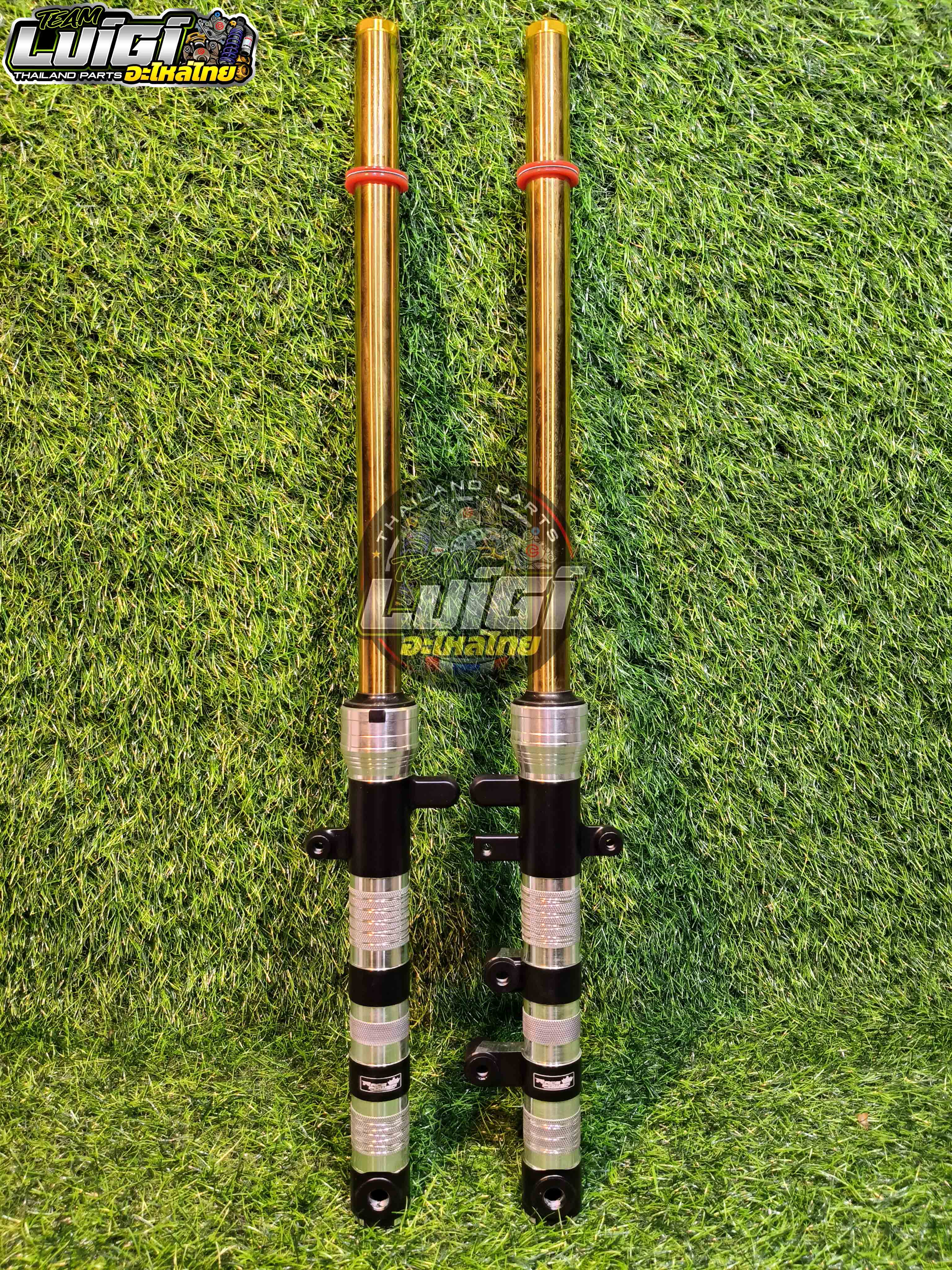 RACE POWER CNC LIGHTEN FRONT SHOCK ASSEMBLY ADJUSTABLE PREMIUM SUZUKI ...