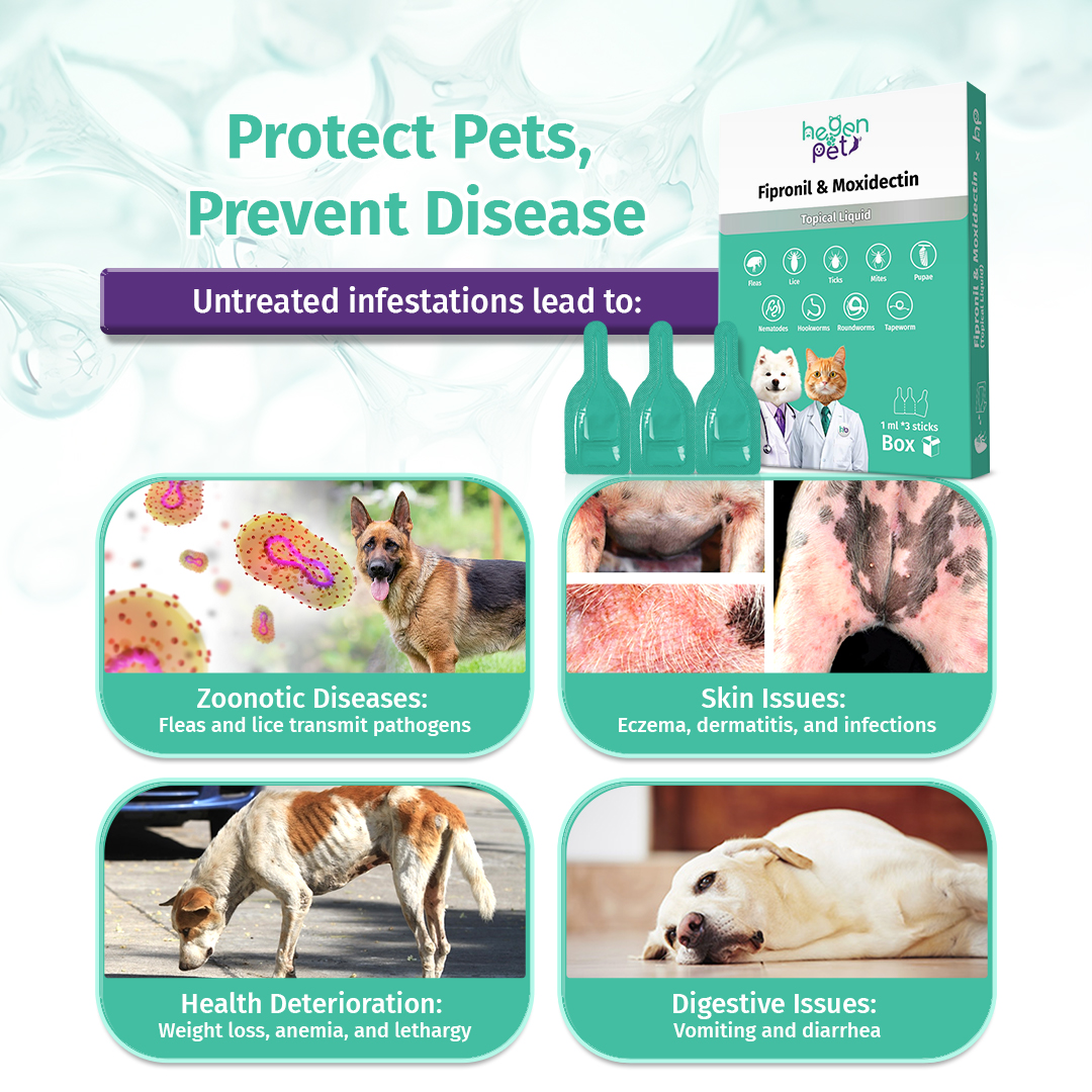 Hegen Pet Tick & Flea Spot On Treatment Dewormer For Dog Cat For Anti ...