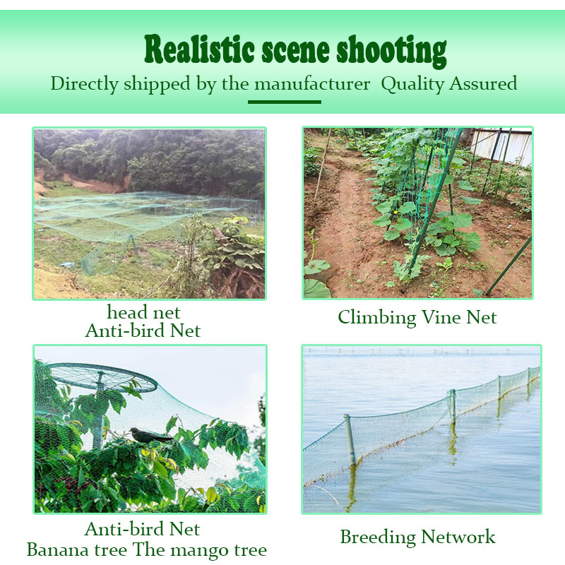 【FREE GIFTS】CHICKEN NET 50M/100M FISHING NET Lambat Outdoor Bird Net ...