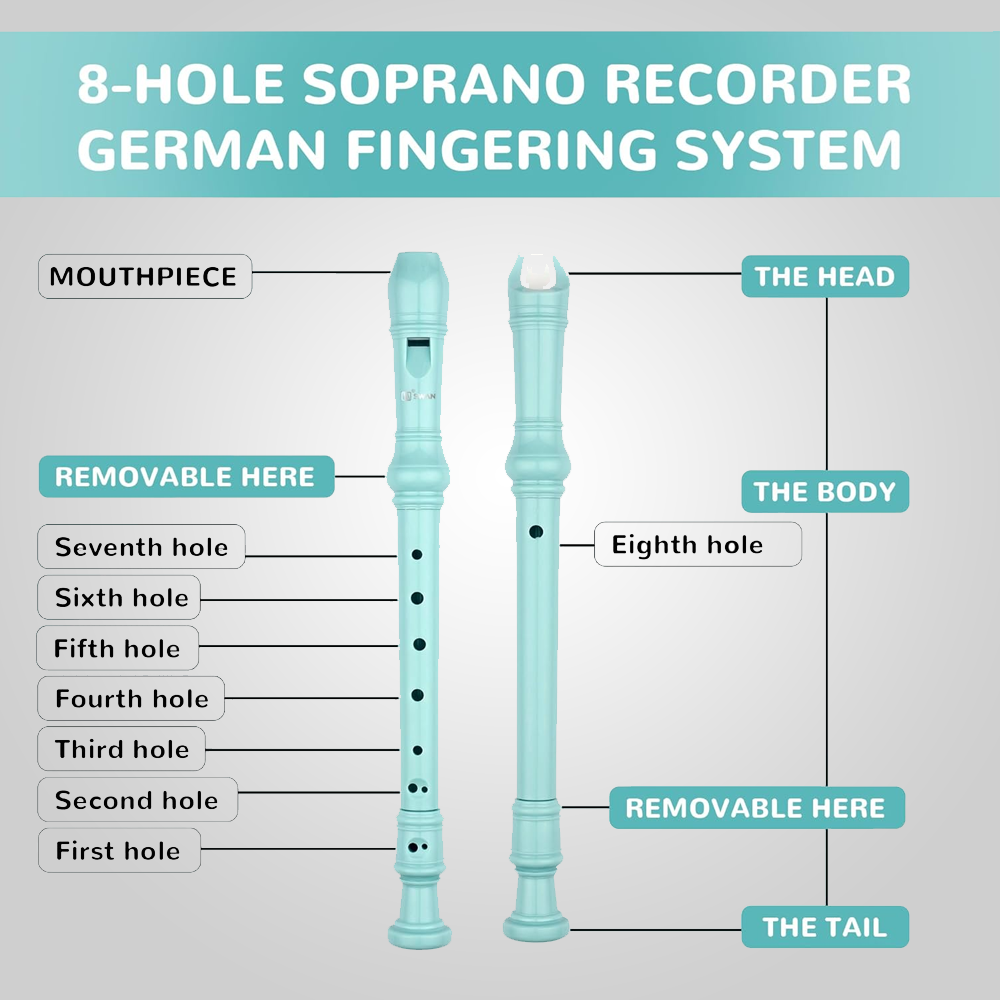 RIXTON Professional Music Global Flute Recorder (Ivory) Music ...