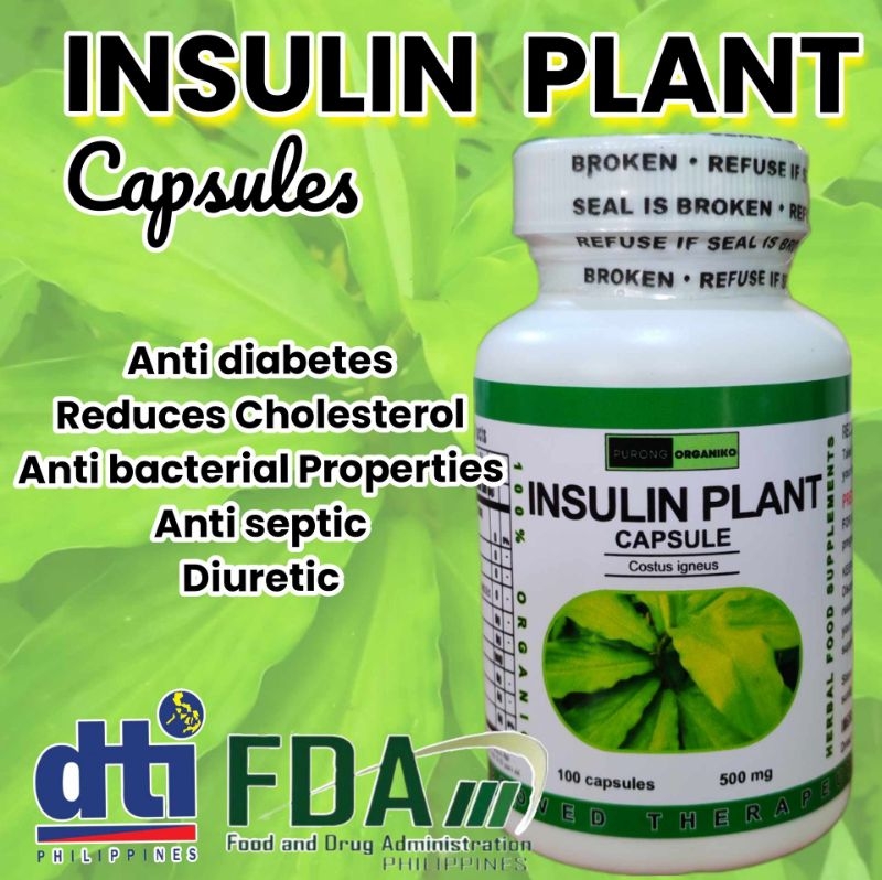 PURE INSULIN CAPSULES (100 caps.500 mg) ALL NATURALS/ NO ORESERVATIVES ...