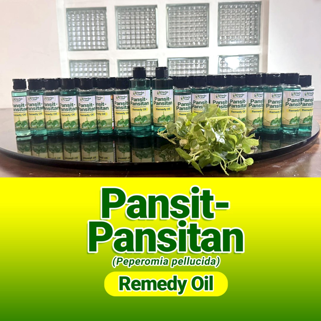 Pansit-Pansitan Herbal Leaf oil 50ml only | Shopee Philippines