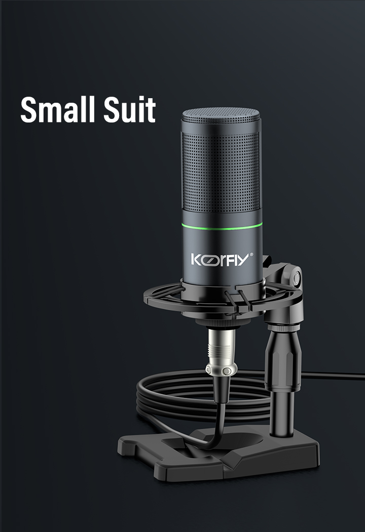 KOORFLY 48V XLR Condenser Microphone ZX320 Professional Cardioid Studio ...