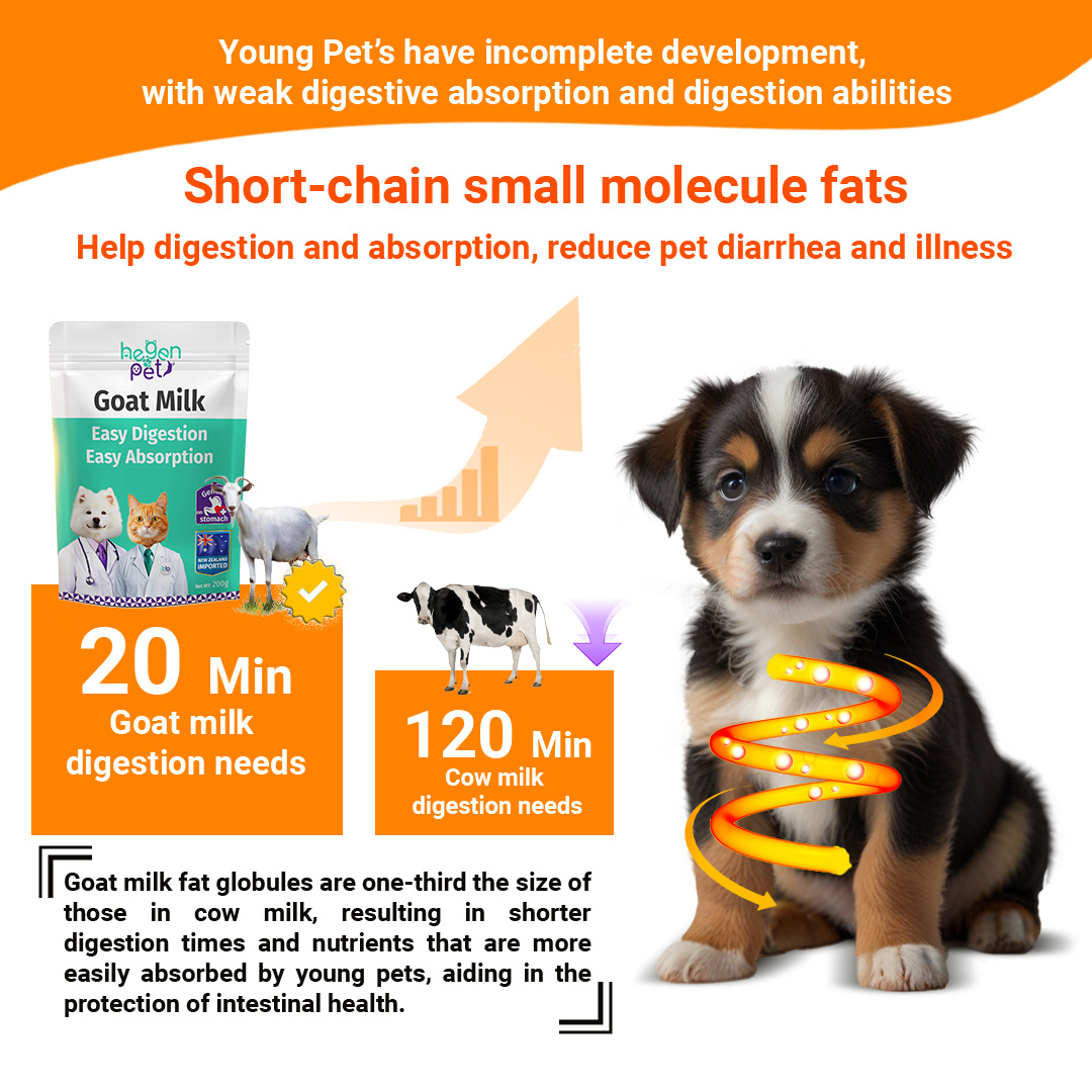 Hegen Pet Goats Milk Replacer Powder For Supplement Nutrition Appetite ...