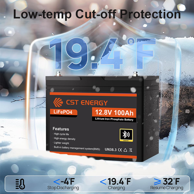 CST ENERGY LiFePo4 Battery 12V 100AH Lithium Battery 12V 50AH Solar ...