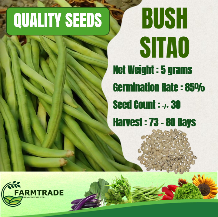 Bush Sitao - High Quality Seeds for Planting Approximately 30 Seeds ...