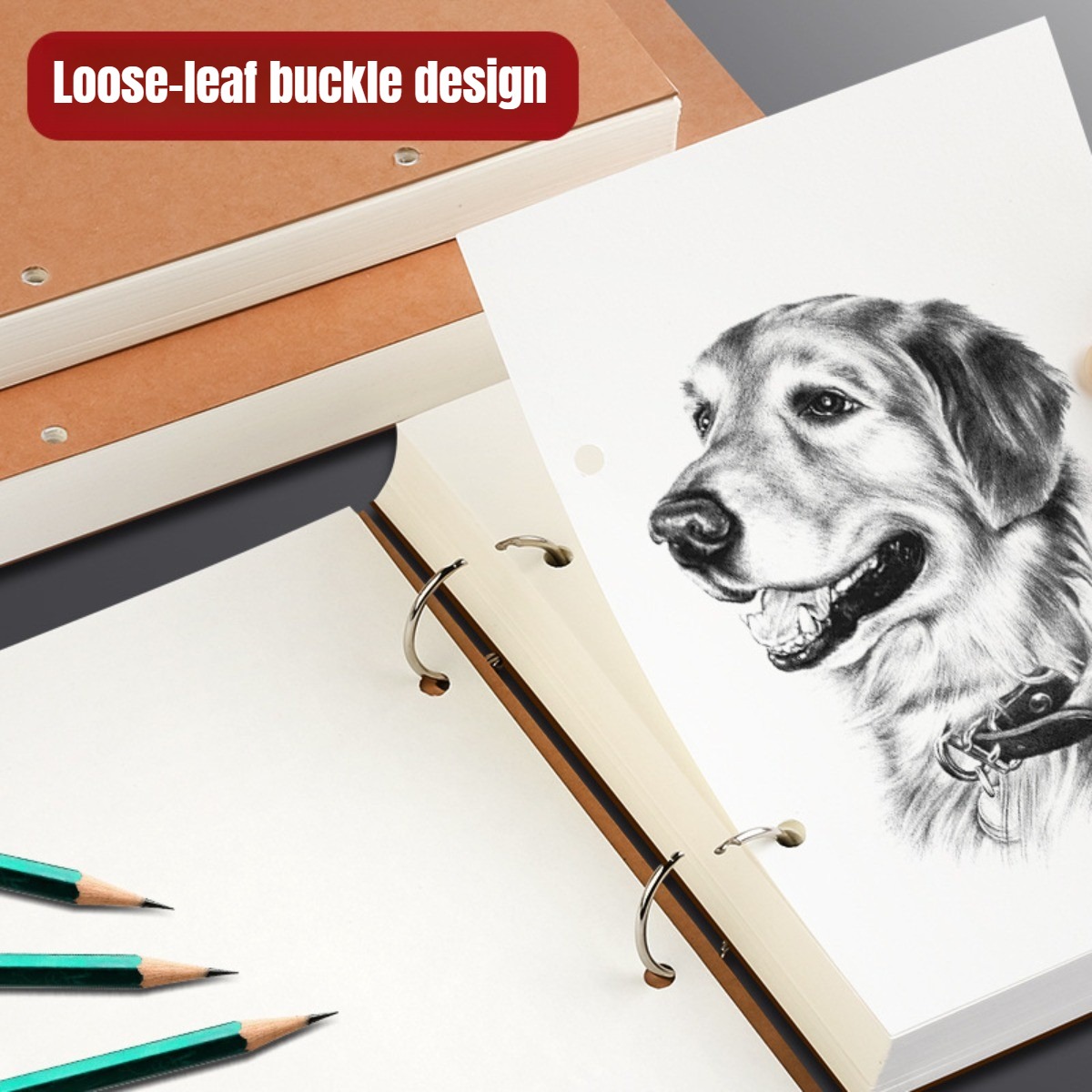 Loose-leaf Sketchbook 32k/24k/A5/16k/A4 75Sheets 160G 2Ring Refillable ...
