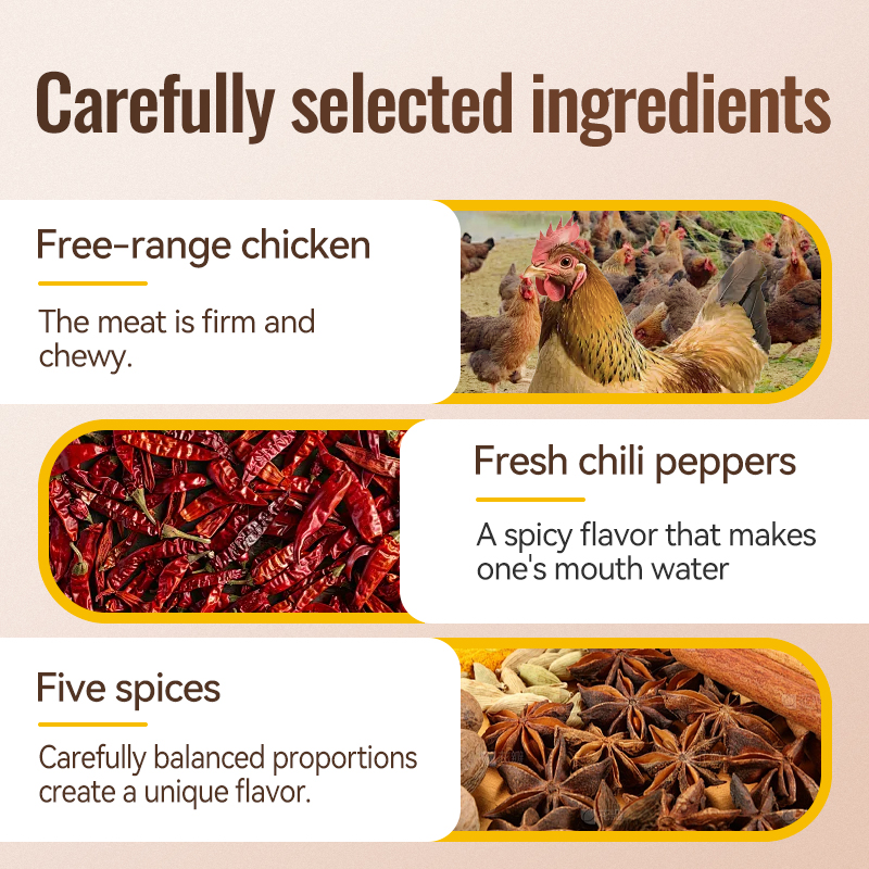 Mr.Squirrel 220g Spicy Chicken Pastil Halal Food Pastil Ready-To-Eat ...