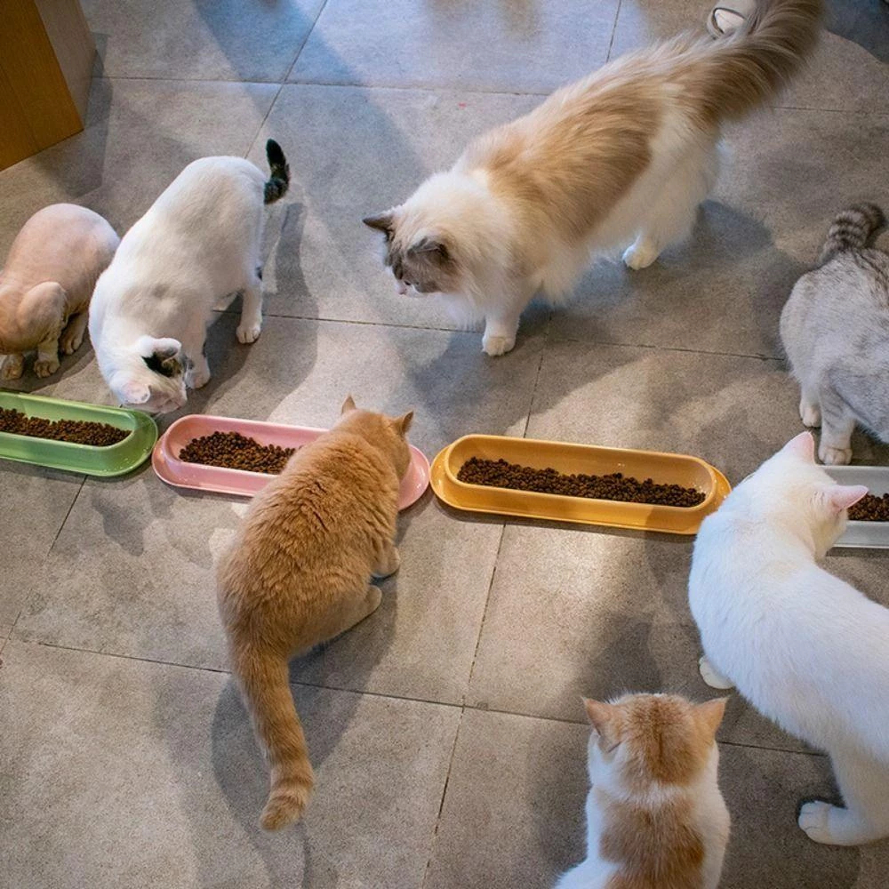 15 ° angled pet bowl, cat long food bowl, anti rollover, anti spill dog ...