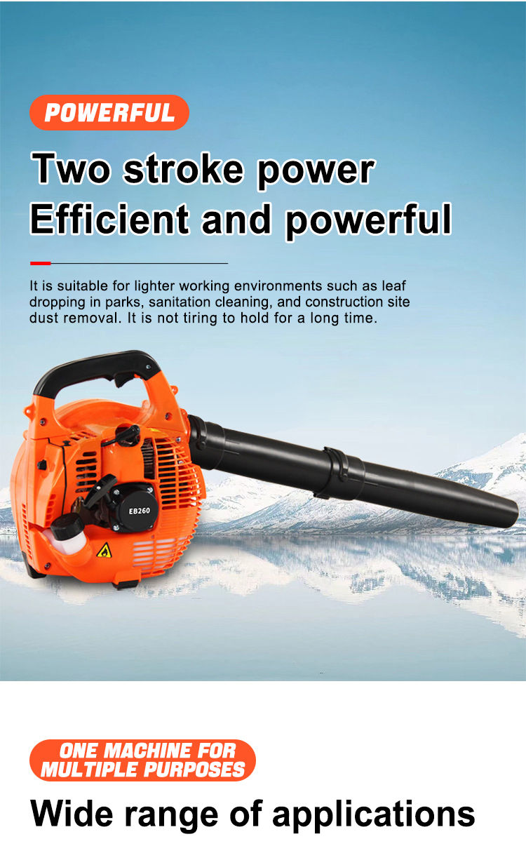 750W Gasoline Blower Cordless Air Blowers Dust Removal Tools Outdoor ...
