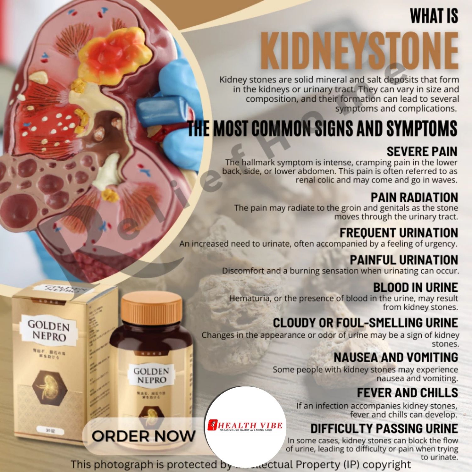 (ORIGINAL) Golden Nepro for Kidney Support Gallstone Kidney Stone ...