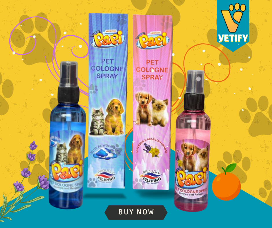 Papi Pet Cologne Spray (Blue Powder and Lavender & Brazilian Orange ...
