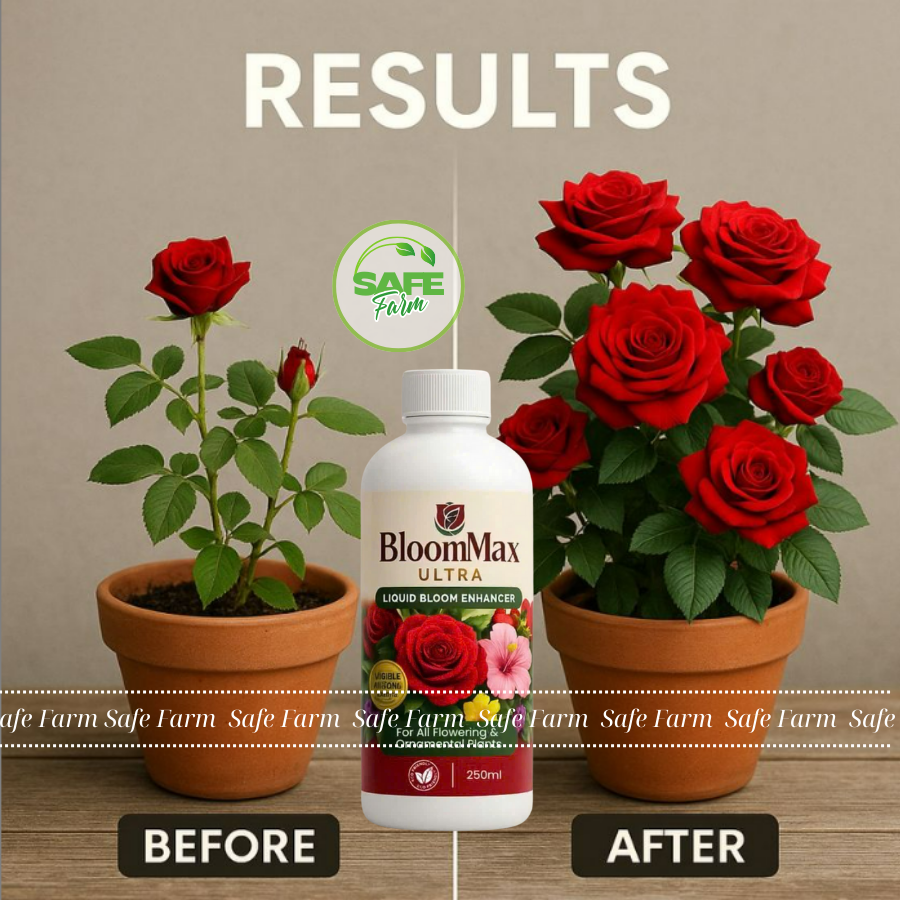 [BIG DEAL] Bloom Max Ultra – Premium Organic Fertilizer for Vibrant ...