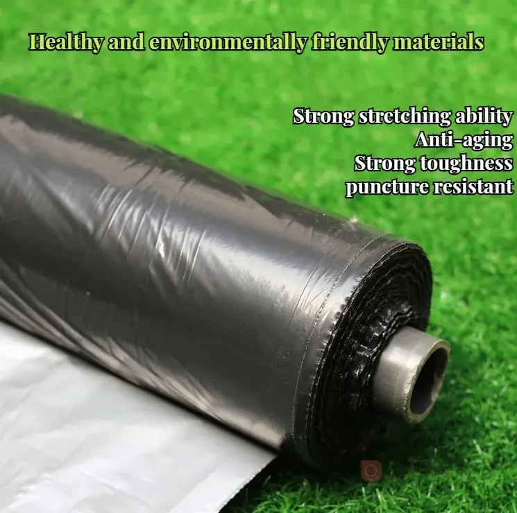 Plastic Mulch 0.8m x 650m 10 Microns Crop cultivation Crop protection ...