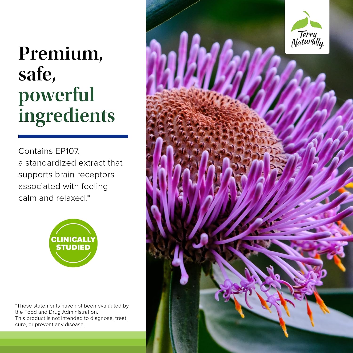 Sleep Specialist | Terry Naturally, AnxioCalm ( Fast-Acting Stress ...