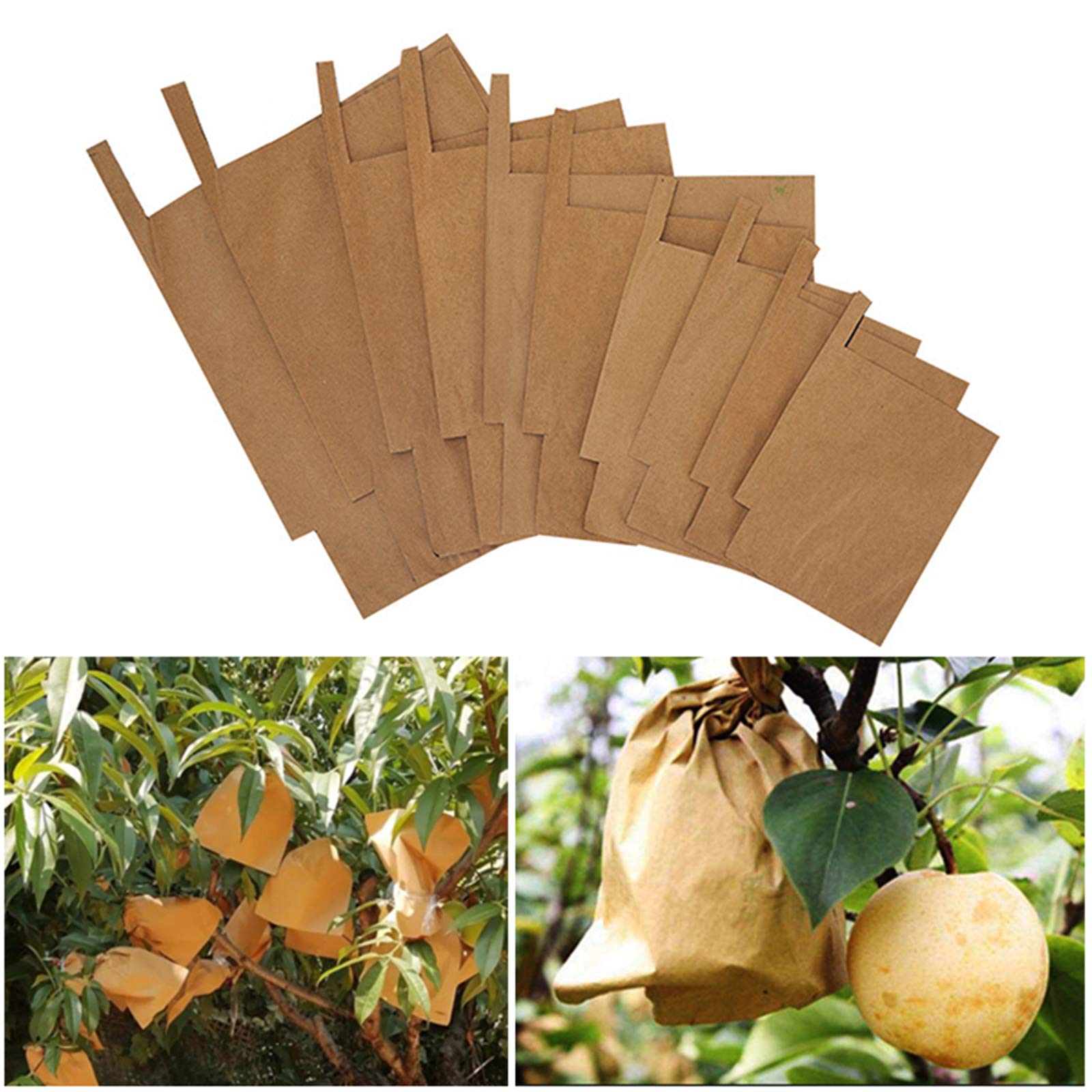 Fruit protection paper bags Waterproof pest control bags Mango loquat ...
