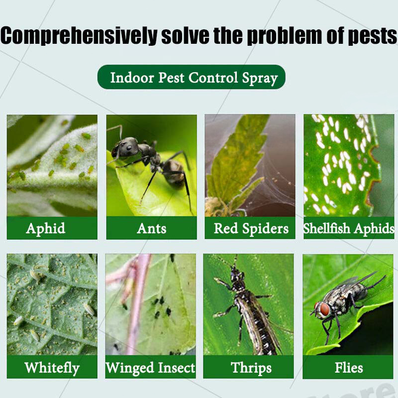 Plant insecticide spray 500ml No harm to plants Bug Spray Aphids ...