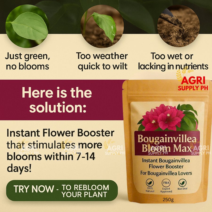 [BEST QUALITY] Bougainvillea Bloom Max 250g – Organic Booster for ...